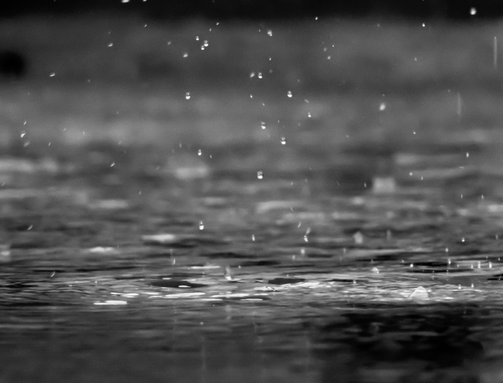 Rain and Floods | Weather Wiz Kids